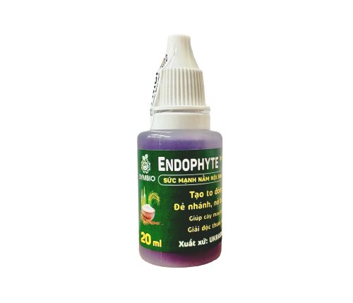 ENDOPHYTE Rice - Tăng nội lực cây , kích to đòng, giữ bộ lá xanh bền